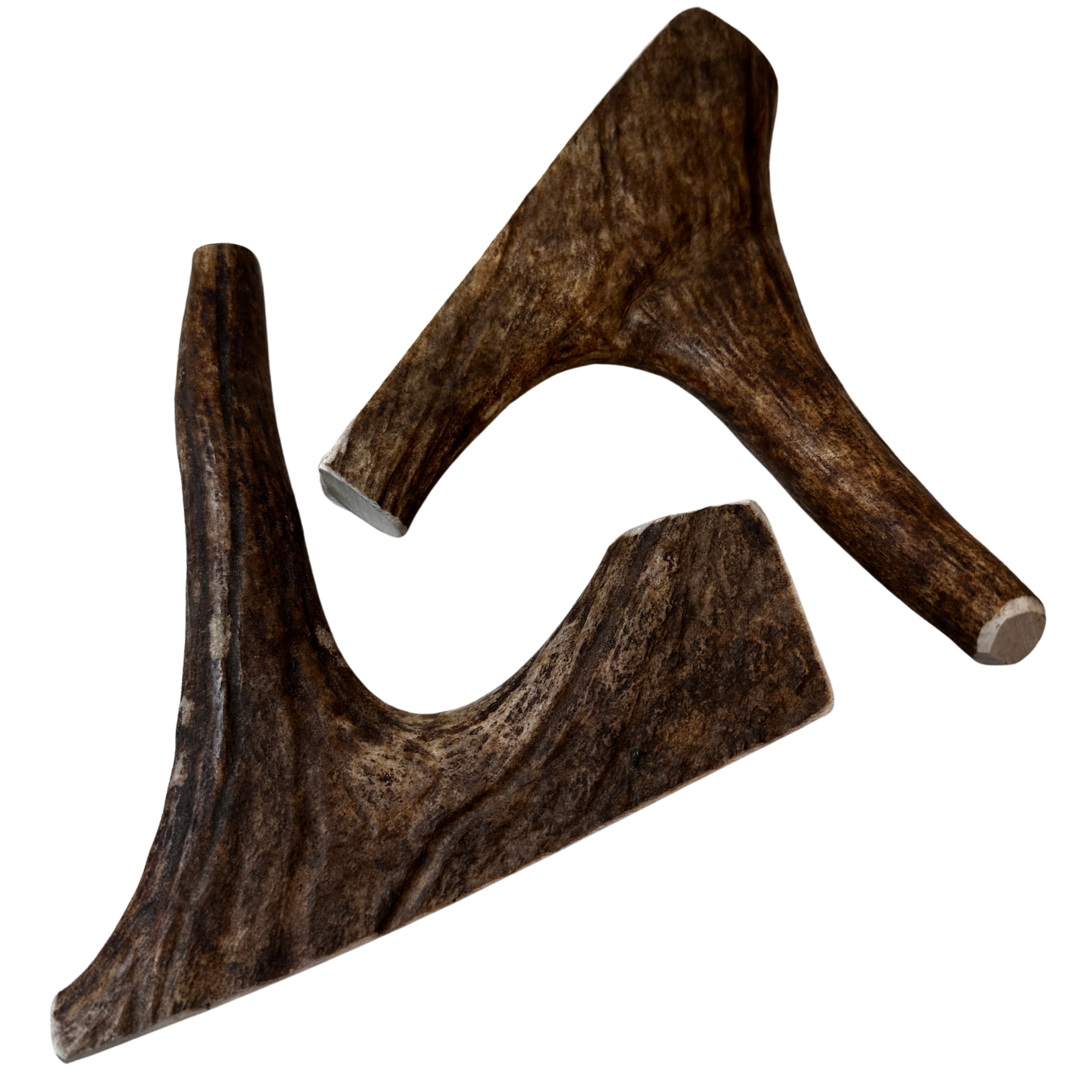 Moose Paddles + Tines (Medium Density/2 Pack) – Chewy Pawz