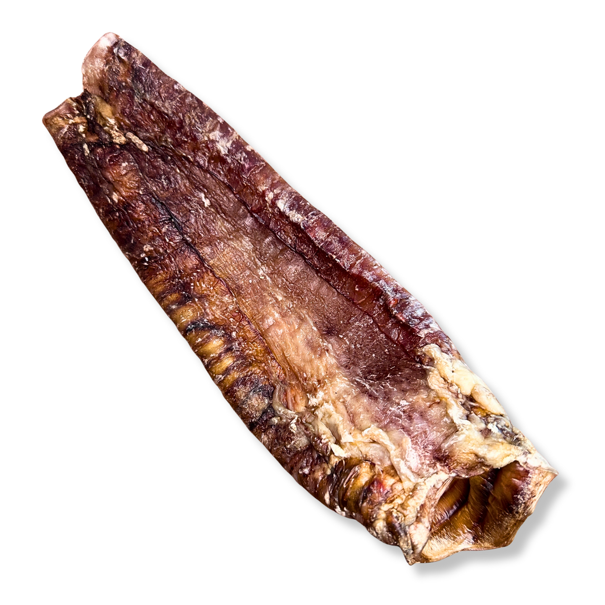 Bison Trachea | Chewy Pawz | Single Ingredient Dog Chews