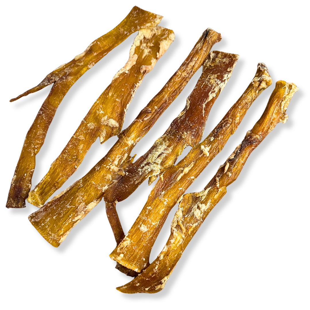 Bison Backstrap Tendon | Chewy Pawz | Single Ingredient Dog Chews