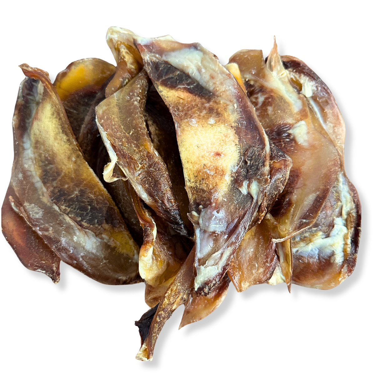 Bison Scapulas | Chewy Pawz | Single Ingredient Dog Chews