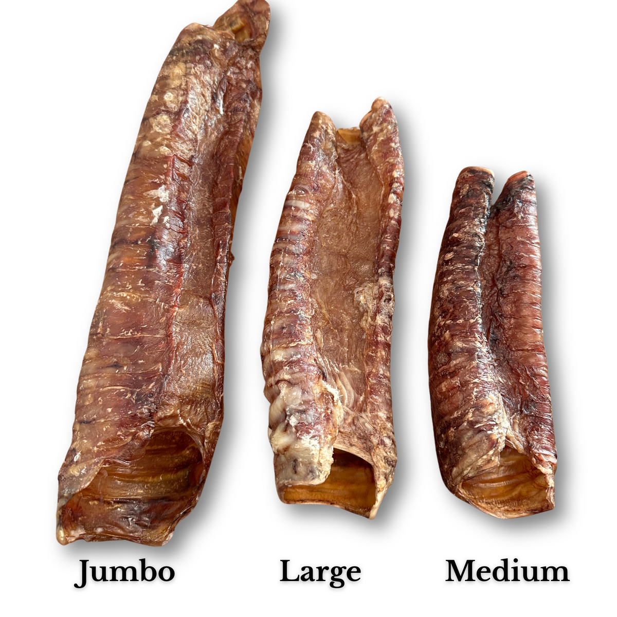 Bison Tracheas | Chewy Pawz | Single Ingredient Dog Chews