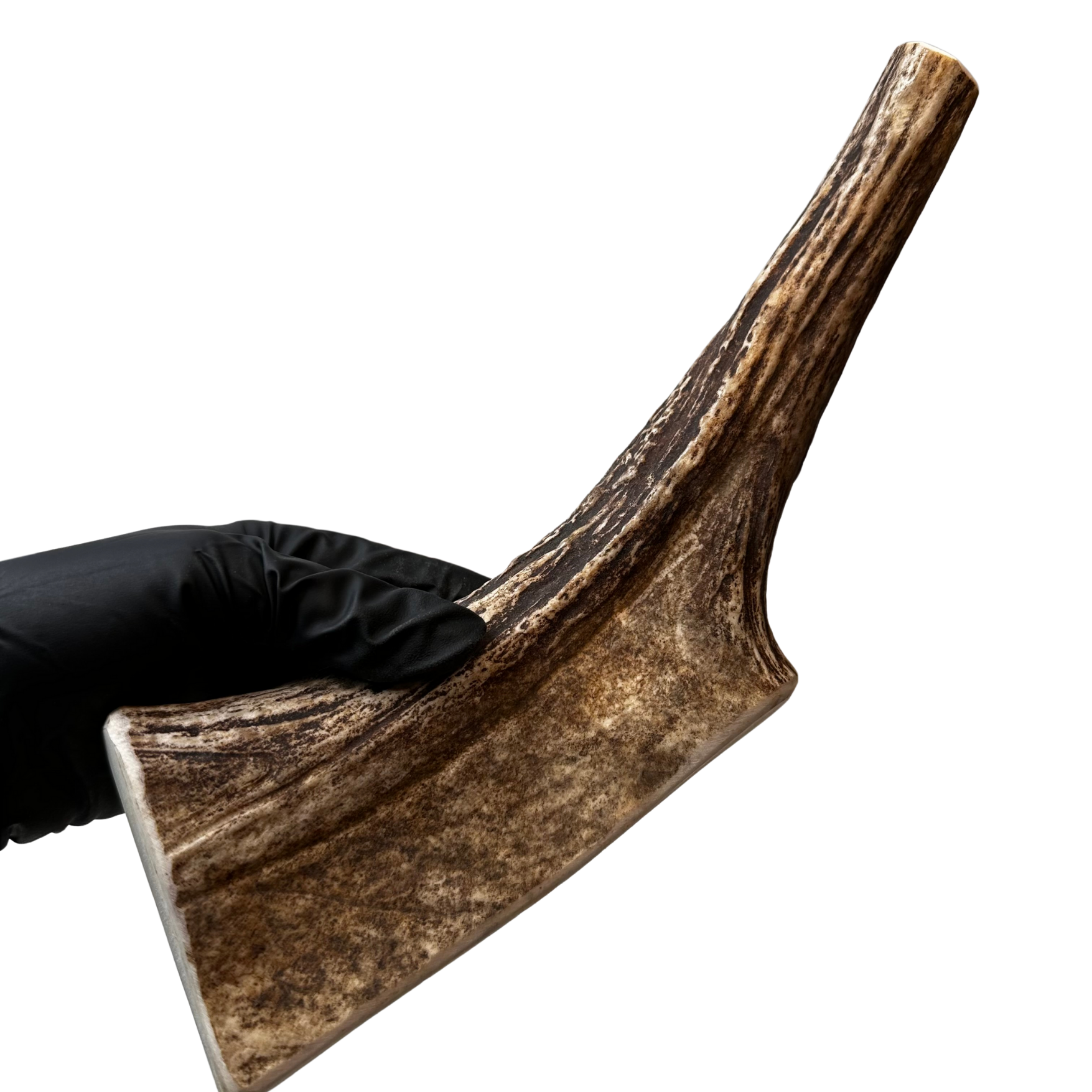 11" Moose Paddle + Tine (Medium-high Density) – Chewy Pawz