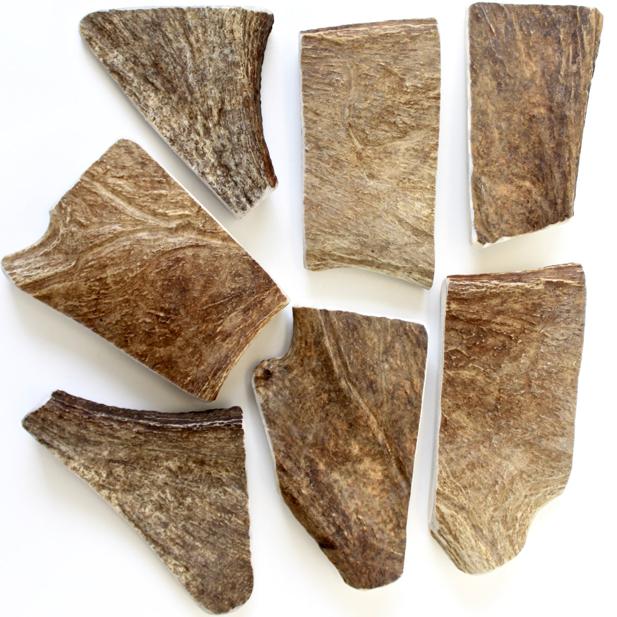 1lb Bulk Moose | Chewy Pawz | Moose Antler Dog Chews